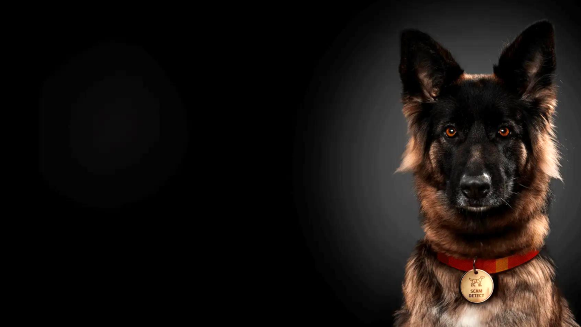 Scam Detect | Real-Time Payments Fraud Detection | Featurespace